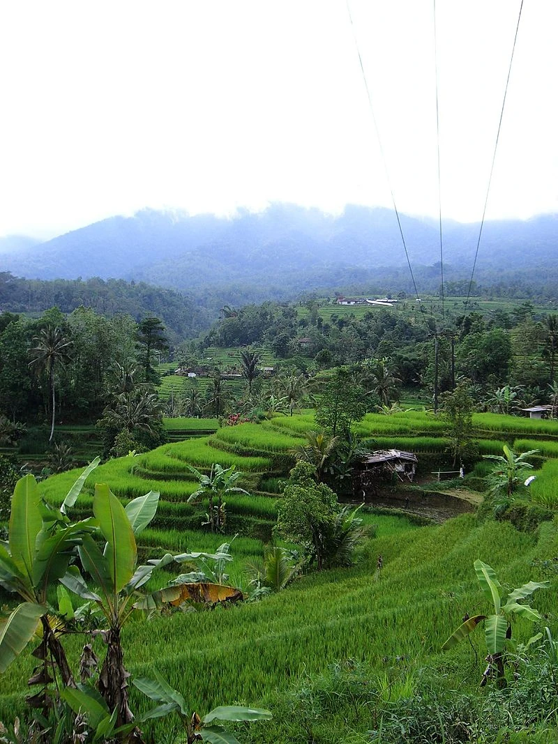 Terrace (earthworks) | Gabaniki Wiki | Fandom