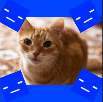 Instant Win Cat | Gabes dc of coolness Wiki | Fandom
