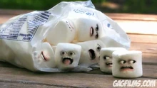 Marshmallow Murder/Gallery | Gagfilms Wiki | Fandom