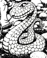 Hoke | Ga'Hoole Universe Wiki | Fandom