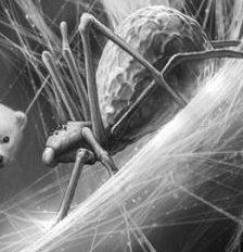 Akka | Ga'Hoole Universe Wiki | Fandom