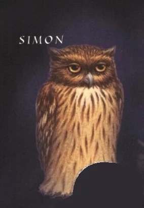 Simon | Ga'Hoole Universe Wiki | Fandom