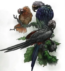 Carrion Parrot | Gaia Wildlife Wiki | Fandom