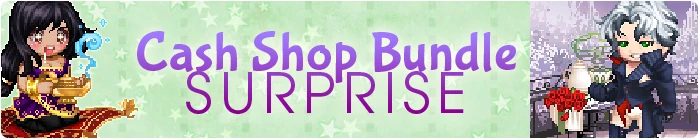 Item:Cash Shop Bundle Surprise | Gaiapedia | Fandom
