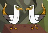 Mutant Seagull (Total Drama Island) | Galactic Creatures Wiki | Fandom