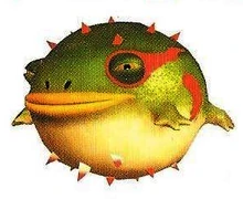 Rolling Frog | Galactic Creatures Wiki | Fandom