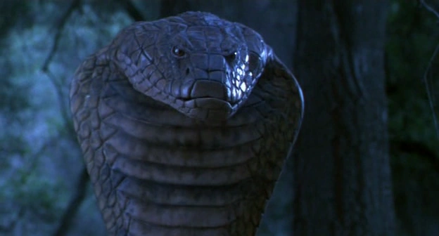 Seth (King Cobra) | Galactic Creatures Wiki | Fandom