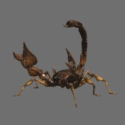 Serket | Galactic Creatures Wiki | Fandom