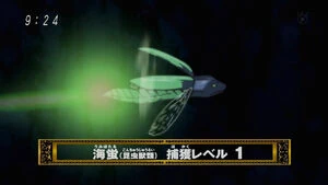 Sea Fireflies | Galactic Creatures Wiki | Fandom