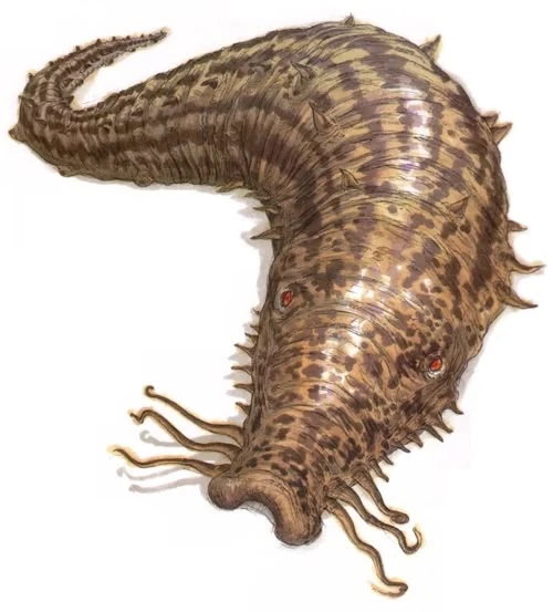 Duracrete Worm | Galactic Creatures Wiki | Fandom