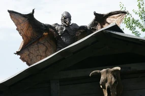 Mutant Bird | Galactic Creatures Wiki | Fandom