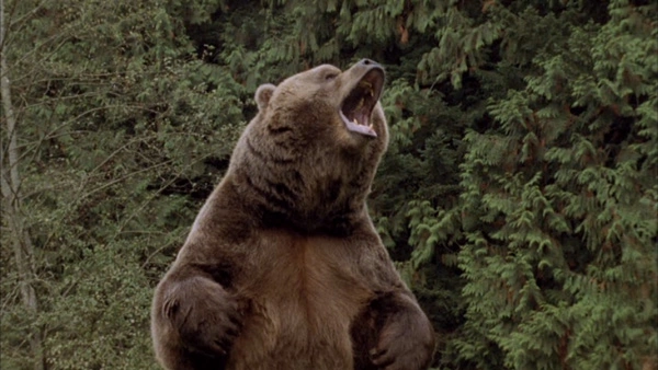 Alien Bear (Savage Planet) | Galactic Creatures Wiki | Fandom