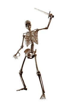 Undead Skeletons | Galactic Creatures Wiki | Fandom