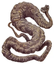 Dagobah Python | Galactic Creatures Wiki | Fandom