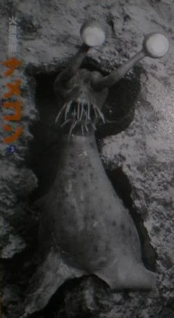 Namegon | Galactic Creatures Wiki | Fandom