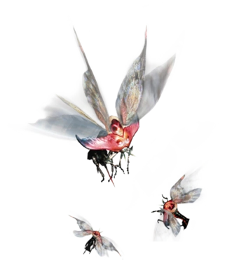 Bnahabra | Galactic Creatures Wiki | Fandom