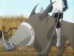 Mutant Boar (Generator Rex) | Galactic Creatures Wiki | Fandom