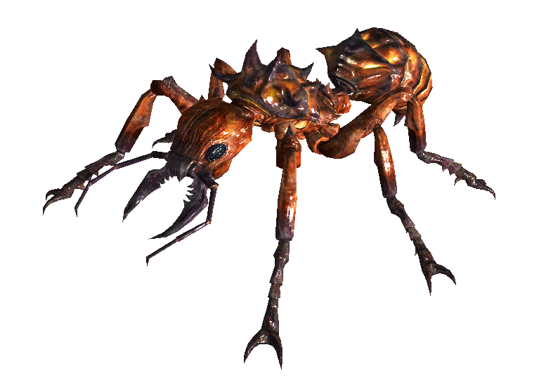 Giant Ant (Fallout) | Galactic Creatures Wiki | Fandom