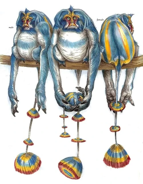 Woolamander | Galactic Creatures Wiki | Fandom