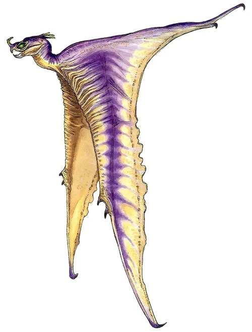 Hawk-Bat | Galactic Creatures Wiki | Fandom