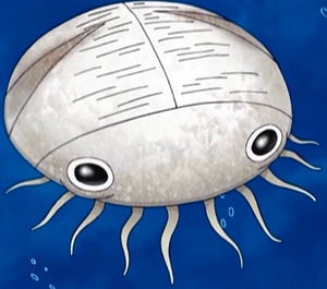 Coin toss Japanese squid | Galactic Creatures Wiki | Fandom