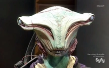 Mako (Face Off) | Galactic Creatures Wiki | Fandom