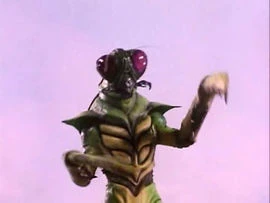 Mantis | Galactic Creatures Wiki | Fandom