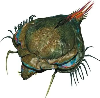 Cuirass Crab | Galactic Creatures Wiki | Fandom