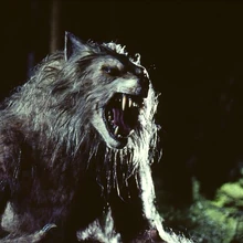 Werewolf (Bad Moon) | Galactic Creatures Wiki | Fandom