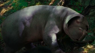 Super Pig (Okja) | Galactic Creatures Wiki | Fandom