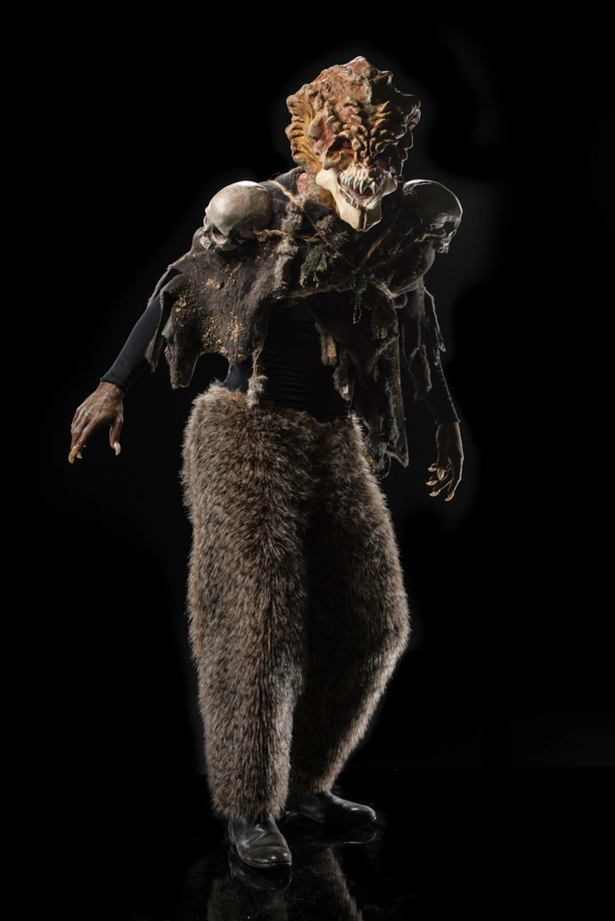 Daran's Acid Dragon | Galactic Creatures Wiki | Fandom