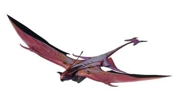 Coronis | Galactic Creatures Wiki | Fandom