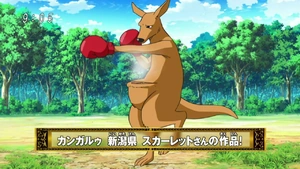 Kangaroux | Galactic Creatures Wiki | Fandom