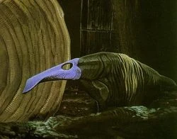 Spade-Nose | Galactic Creatures Wiki | Fandom