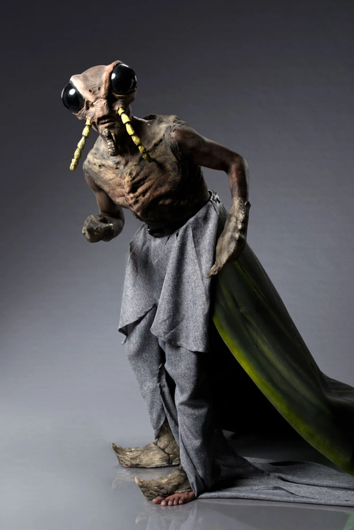 Firefly/Human Hybrid | Galactic Creatures Wiki | Fandom