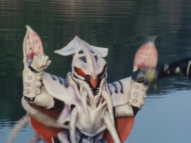 Squid Evo | Galactic Creatures Wiki | Fandom