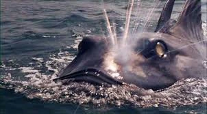 Monster Fish | Galactic Creatures Wiki | Fandom