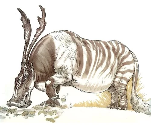 Runyip | Galactic Creatures Wiki | Fandom