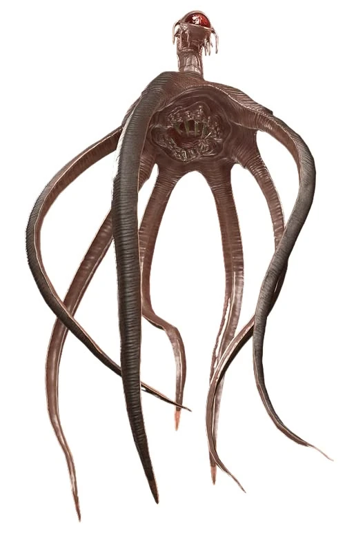 Dianoga | Galactic Creatures Wiki | Fandom
