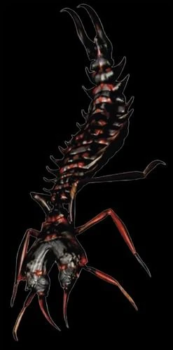 Arachnoid (Avatar) | Galactic Creatures Wiki | Fandom
