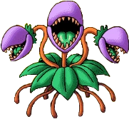 Venus Guytrap (Dragon Quest) | Galactic Creatures Wiki | Fandom