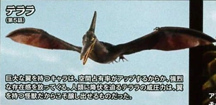 Terara | Galactic Creatures Wiki | Fandom