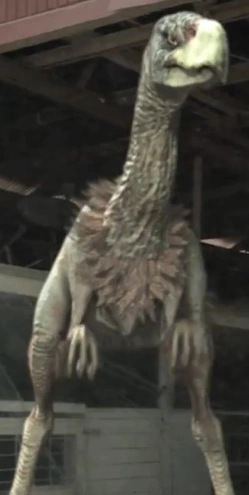 Terror Bird (Syfy) | Galactic Creatures Wiki | Fandom