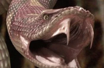 Mara (Doctor Who) | Galactic Creatures Wiki | Fandom