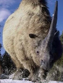 Elasmotherium (Prehistoric Park) | Galactic Creatures Wiki | Fandom