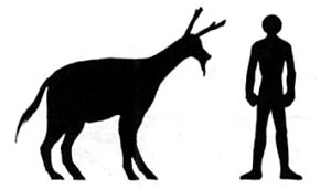 Onion Goat | Galactic Creatures Wiki | Fandom
