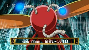 Bomb Bug | Galactic Creatures Wiki | Fandom