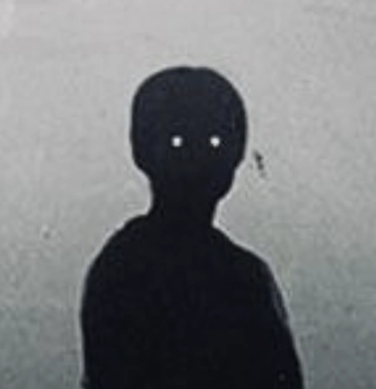 Shadow Person | Echoes of the Infinite Wiki | Fandom