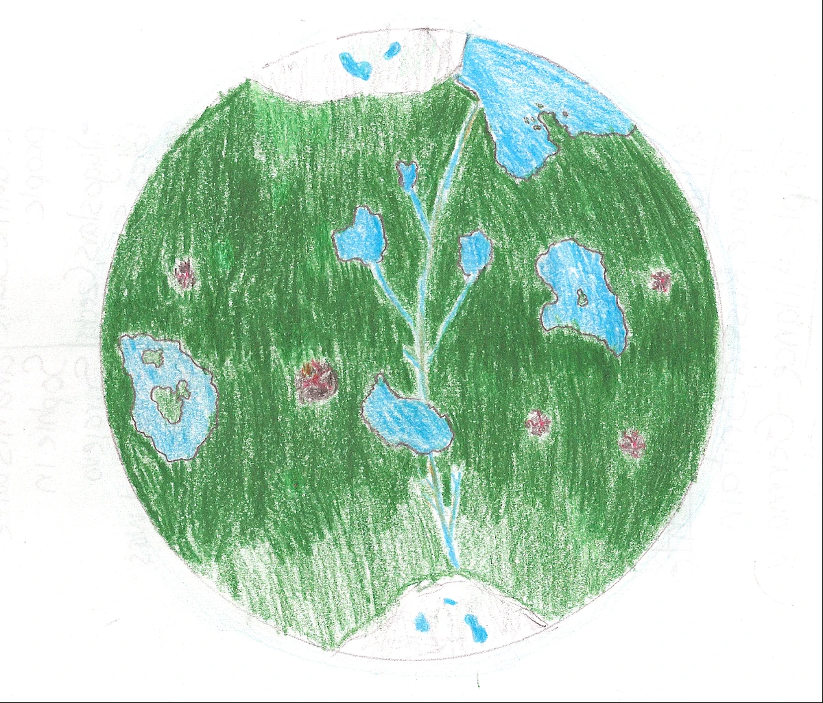 Glorph (Planet) | Galactic Database | Fandom