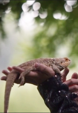 Tad Cooper | Galavant Wiki | Fandom